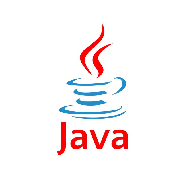 Most used programming languages in Japan 人材採用支援のエンパワー